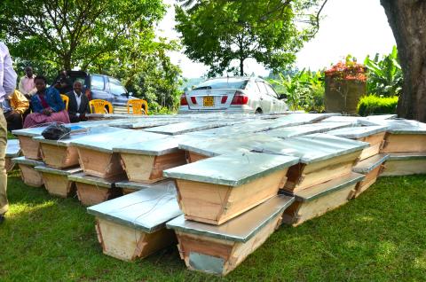 Bunyangabu Bee Keepers Supported With Modern Bee Hives | Bunyangabu ...